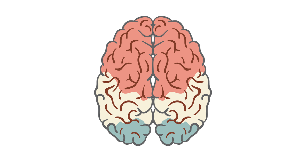 Roadmap - Armando Hasudungan